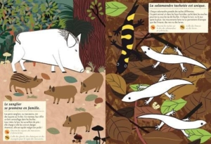 Activités animaux de la forêt / ief, coschooling, maternelle ...