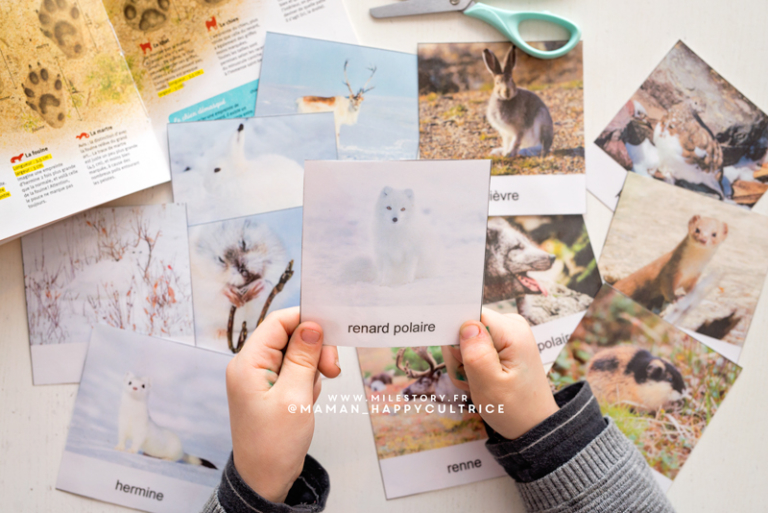 Activités Les animaux en hiver - Maternelle - Milestory.fr Fiches d ...