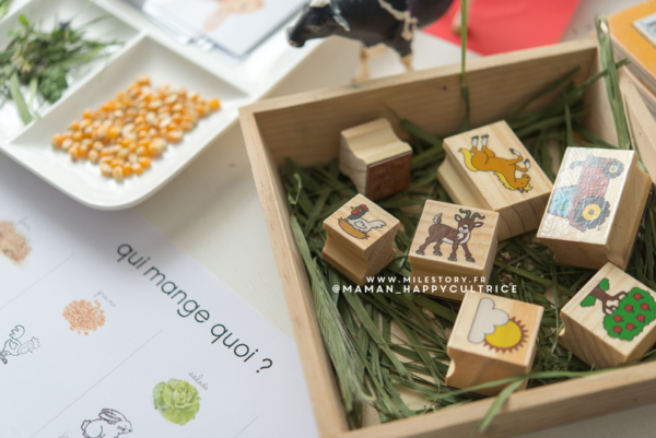 Activités ferme et animaux de la ferme maternelle - Milestory.fr Fiches ...