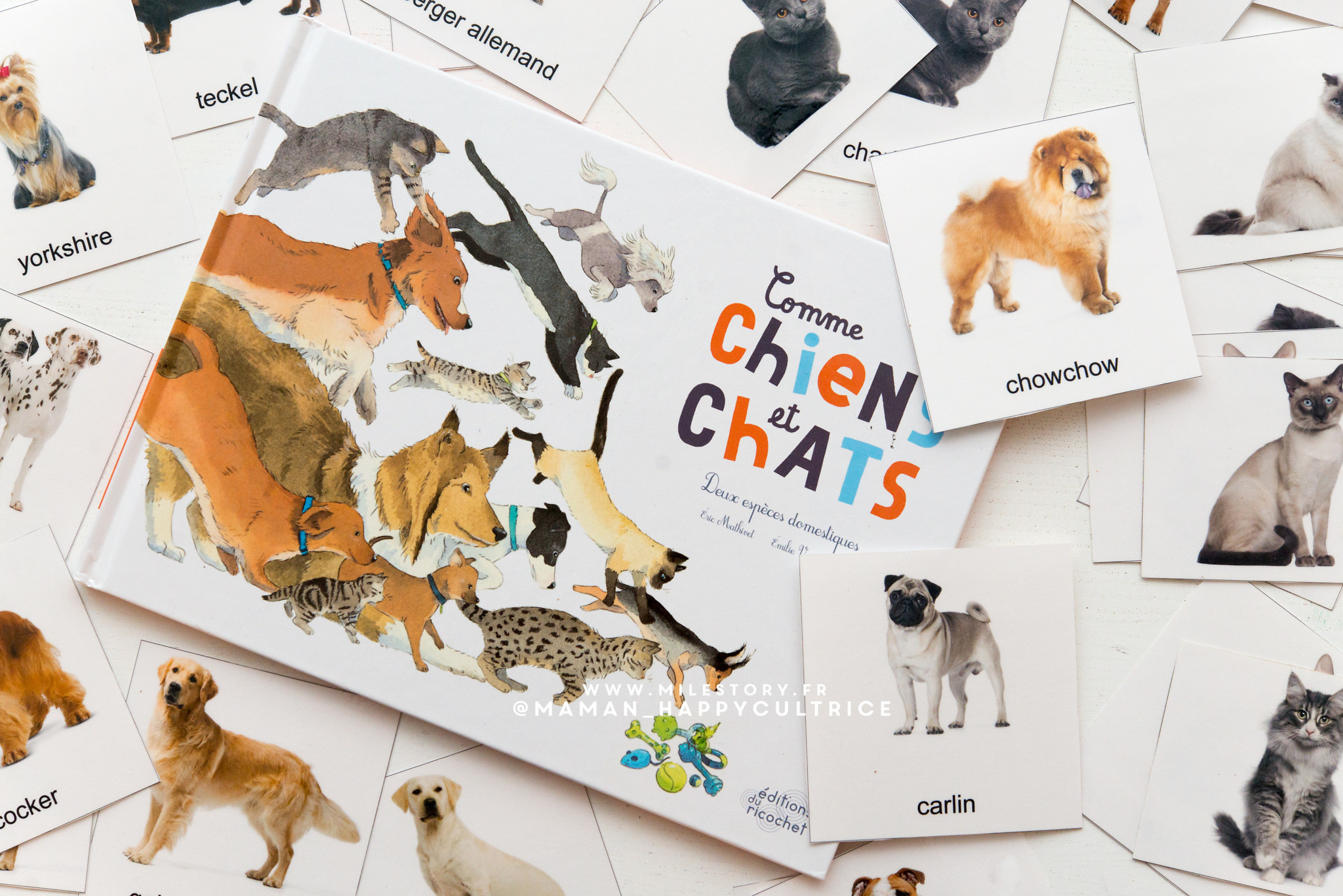 un livre documentaire sur les chiens et les chats - Milestory.fr Fiches ...