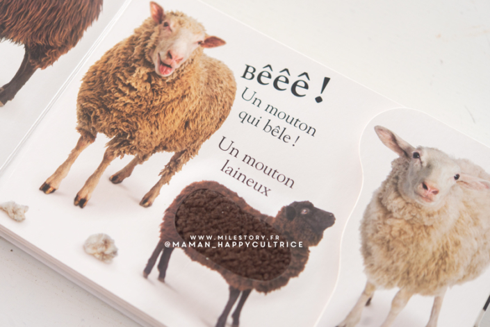 Activités ferme et animaux de la ferme maternelle - Milestory.fr