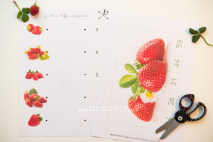 Activités sur la fraise en maternelle - cartes nomenclature - cycle de ...
