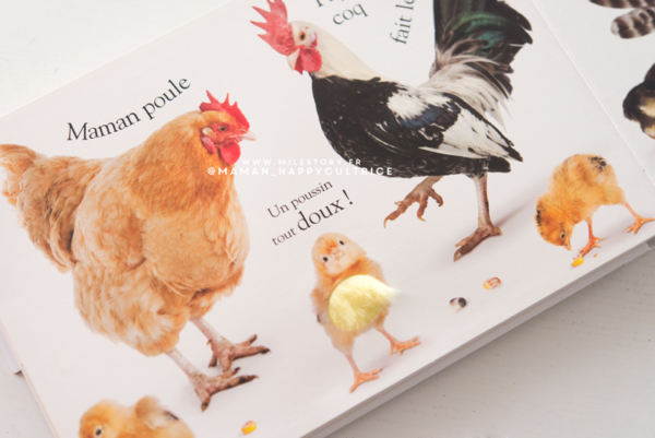 Activités ferme et animaux de la ferme maternelle - Milestory.fr Fiches ...