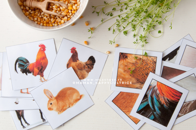 Activités ferme et animaux de la ferme maternelle - Milestory.fr Fiches ...