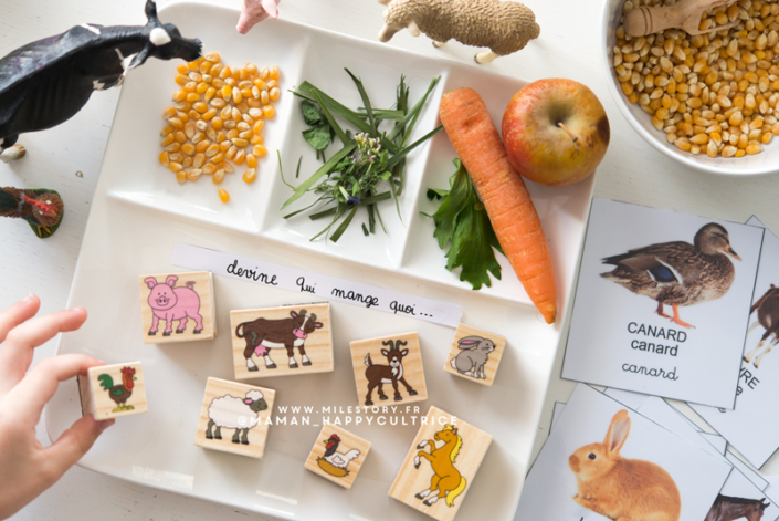 Activités ferme et animaux de la ferme maternelle - Milestory.fr Fiches ...