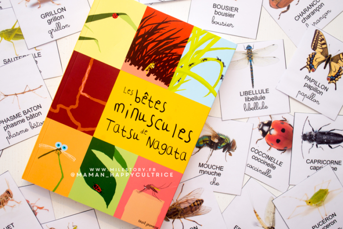 Livres et activités sur les insectes (et autres petites bêtes) en ...