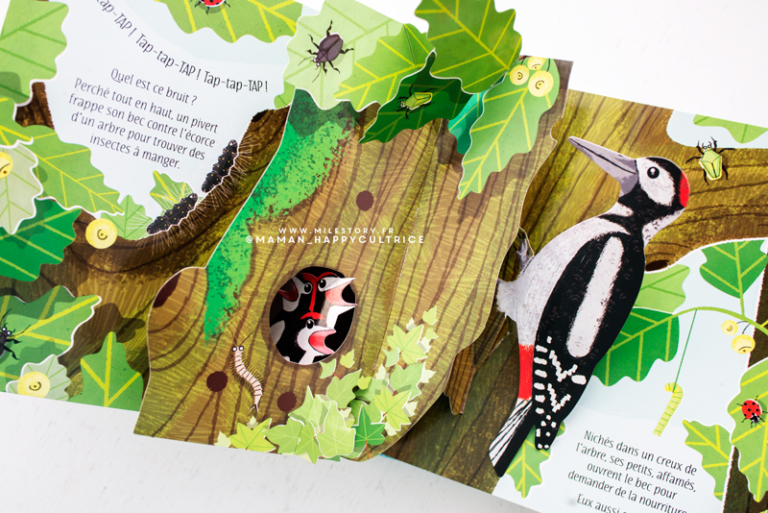 Livre pop-up sur la nature - Milestory.fr Fiches d'activités gratuites ...