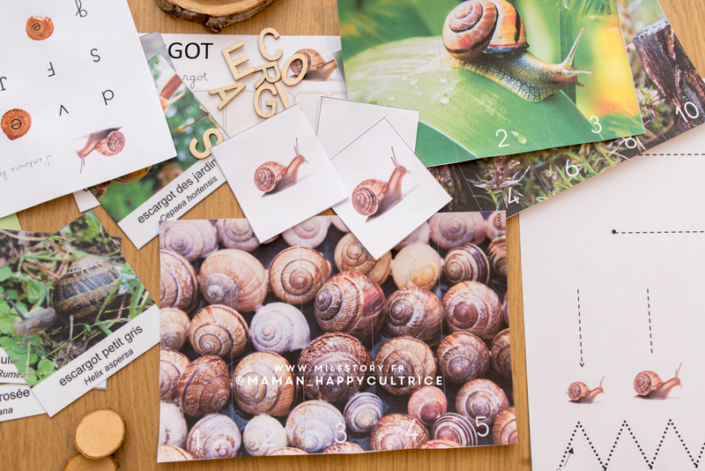 Activités thème Escargots en maternelle - Milestory.fr Fiches d ...
