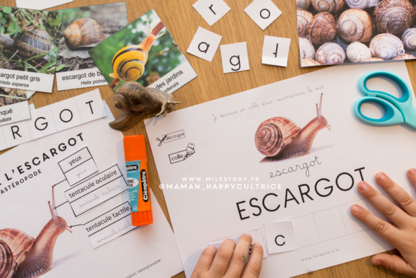 Activités thème Escargots en maternelle - Milestory.fr Fiches d ...