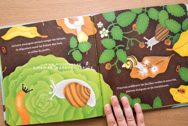 Activités thème Escargots en maternelle - Milestory.fr Fiches d ...