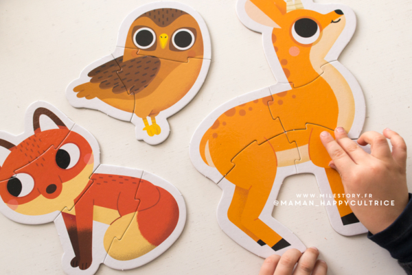 Activités animaux de la forêt / ief, coschooling, maternelle ...