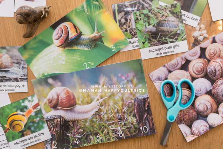 Activités thème Escargots en maternelle - Milestory.fr Fiches d ...