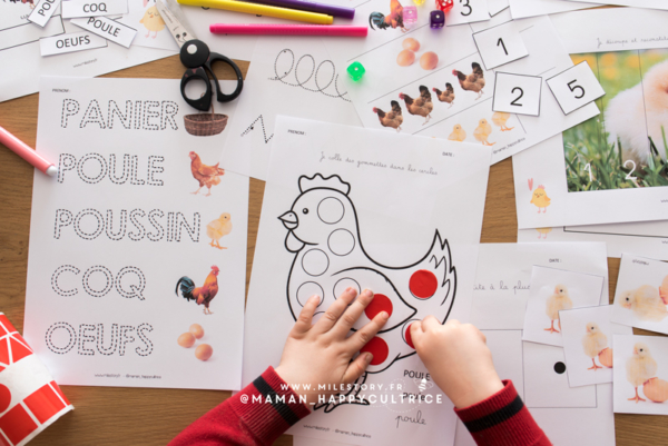 Activités poule en maternelle : cycle de vie poule, morphologie poule ...