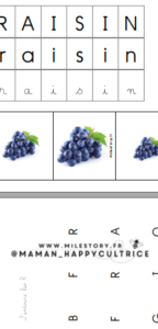 Le raisin en maternelle, cp, ce1, ce2 - Milestory.fr