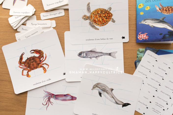 Coffret Montessori Océans - Milestory.fr Fiches d'activités gratuites à ...
