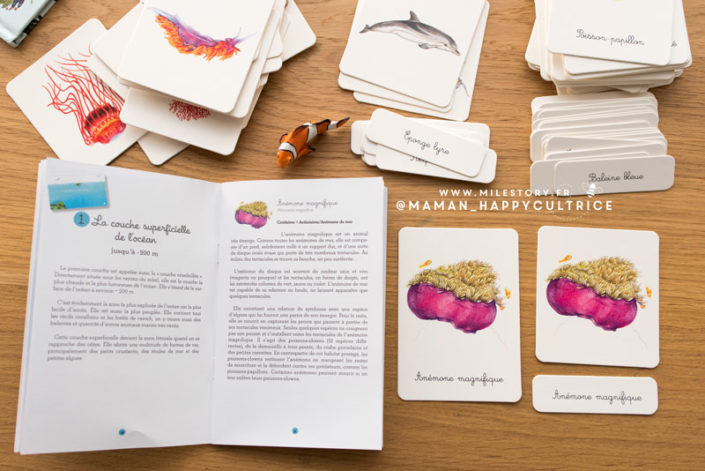 Coffret Montessori Océans - Milestory.fr Fiches d'activités gratuites à ...