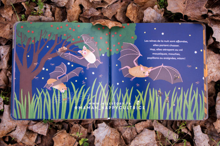On a rencontré des chauves-souris - fiche maternelle - Milestory.fr ...