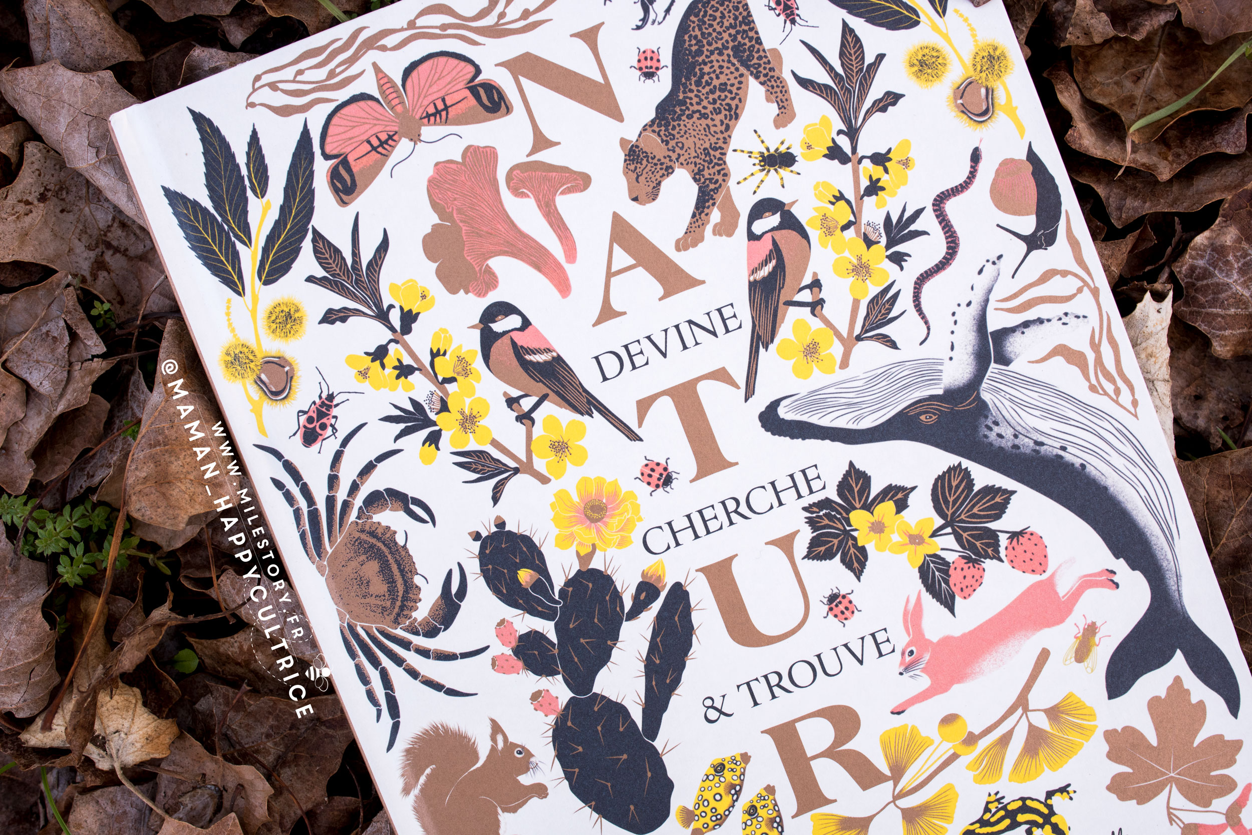 Pépite : Devine, Cherche et Trouve Nature - Milestory.fr Fiches d ...