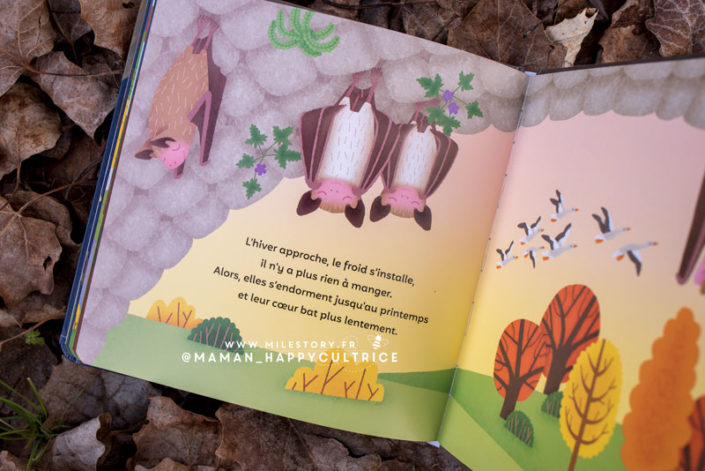 On a rencontré des chauves-souris - fiche maternelle - Milestory.fr ...
