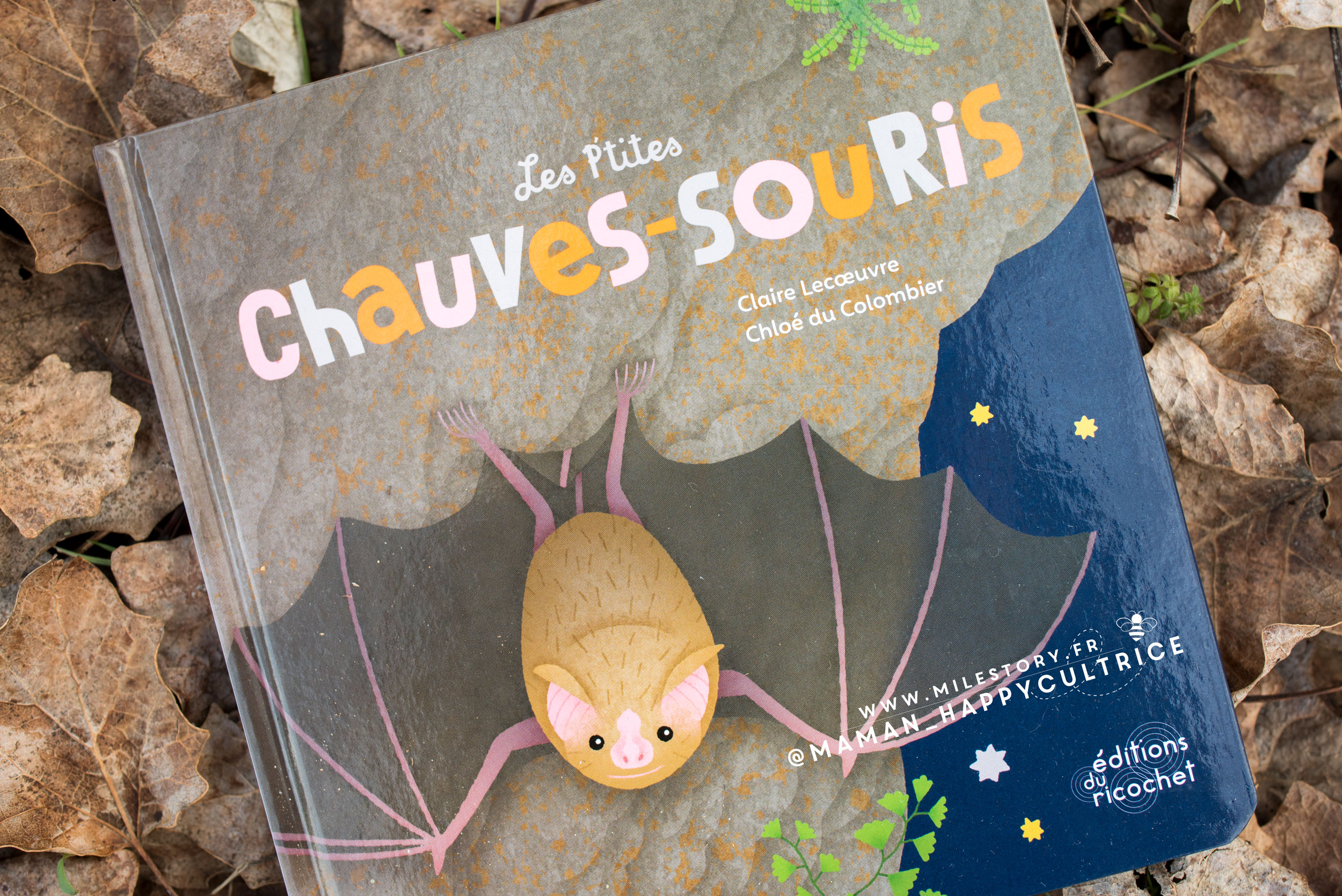 On a rencontré des chauves-souris - fiche maternelle - Milestory.fr ...