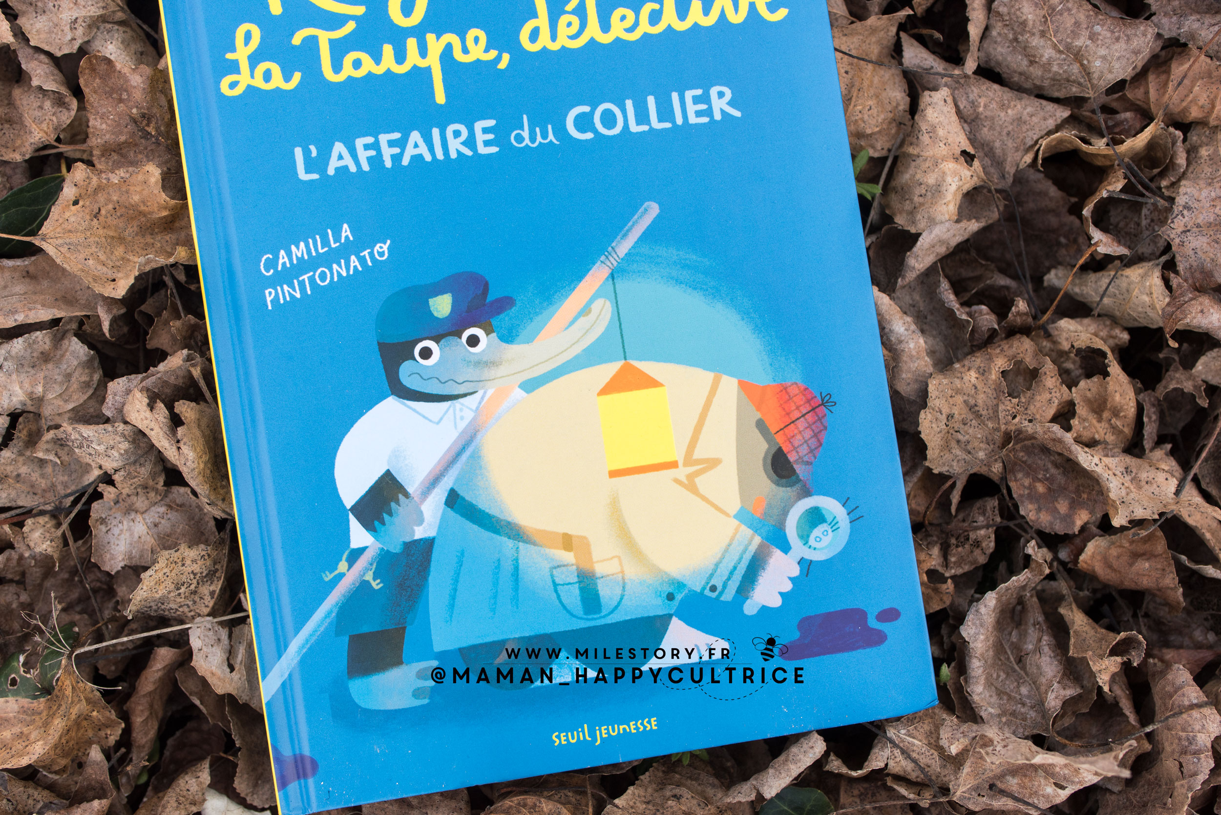 Une enquête pleine d'humour !! - Milestory.fr Fiches d'activités ...