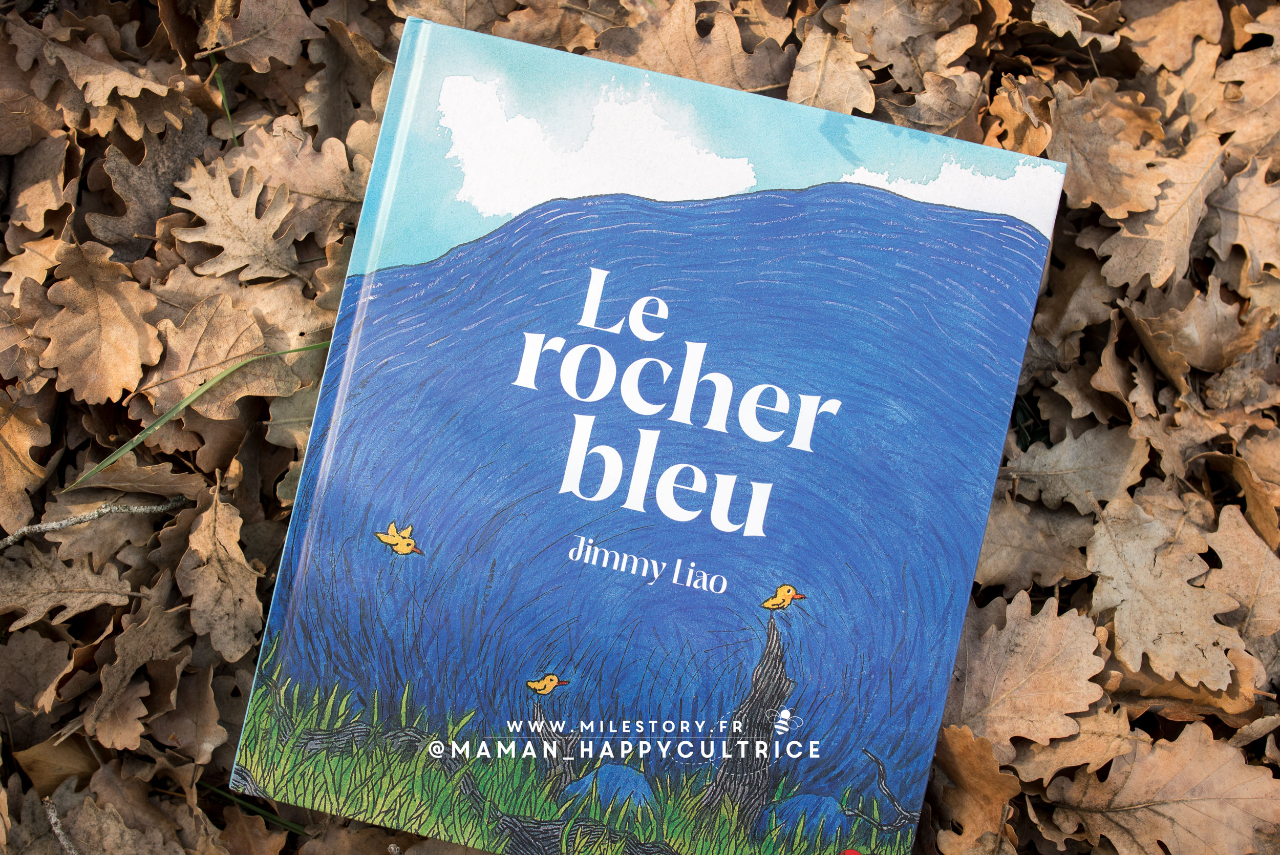 Le rocher bleu, un album sur la résilience - Milestory.fr Fiches d ...