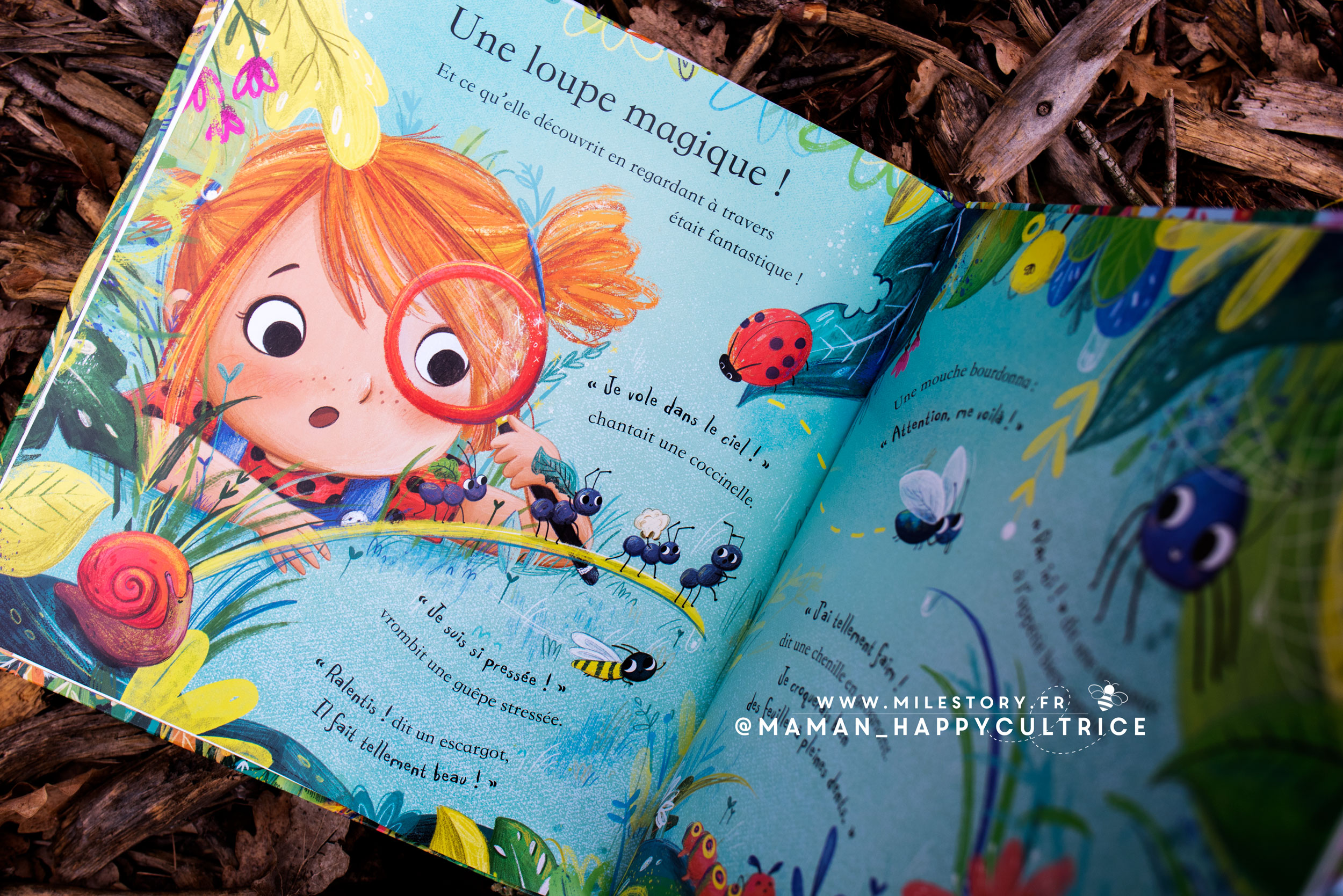 Superbe album maternelle sur les insectes et petites bêtes ...