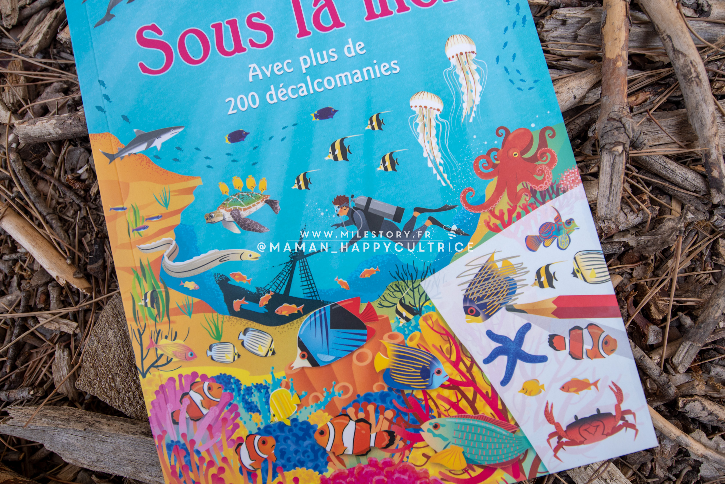 Sous la mer, en décalcomanies ! - Milestory.fr Fiches d'activités ...