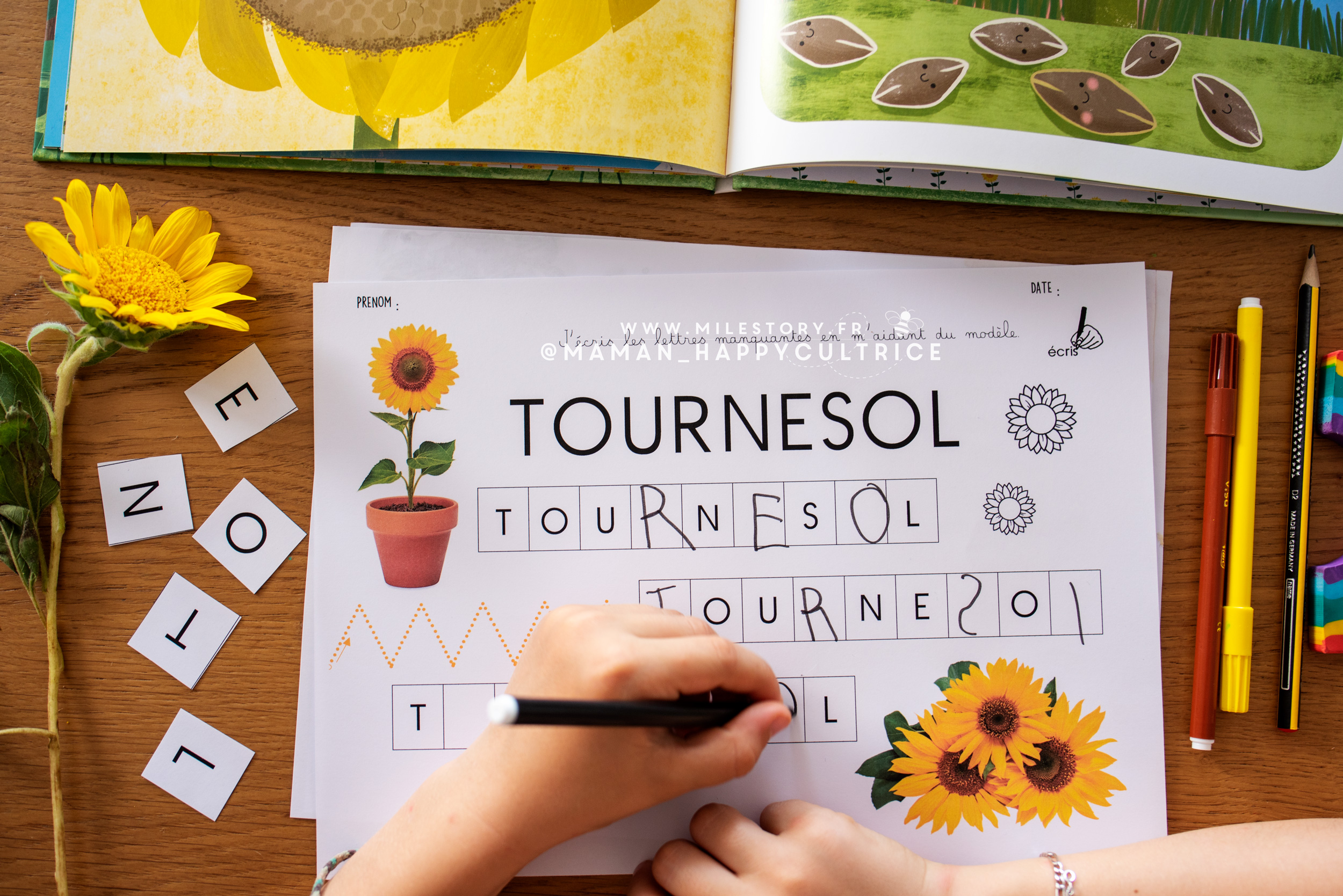 Dessins De Tournesols Pour Enfants Activité Artistique Maternelle