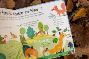 Où vont les animaux en hiver ? - Milestory.fr Fiches d'activités ...
