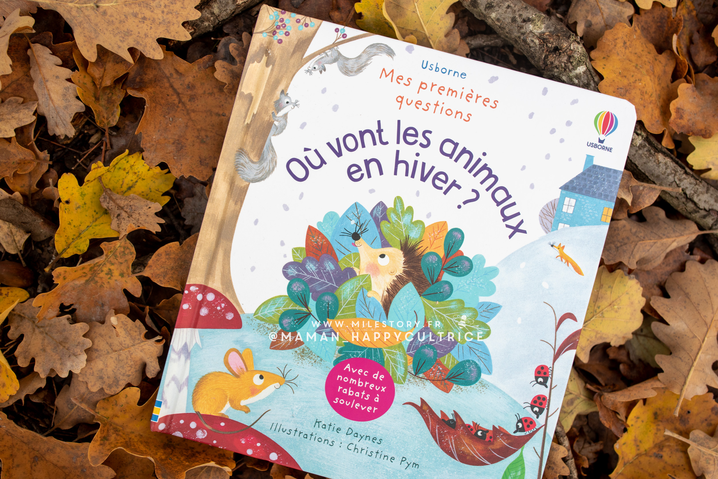 Où vont les animaux en hiver ? - Milestory.fr Fiches d'activités ...