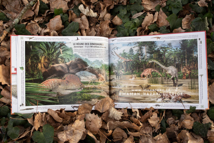 Apprendre tout en s'amusant : les dinosaures en jeu et en livres pour ...