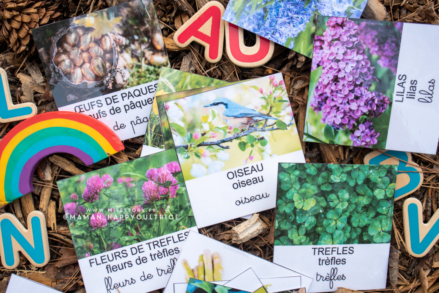 Jeu de Cartes à pince phonologie vocabulaire de printemps à imprimer ...