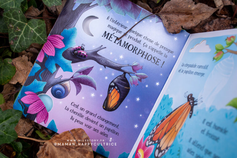 Le cycle de vie du papillon - Milestory.fr Fiches d'activités gratuites ...