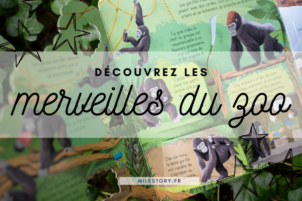 Explorez les secrets du zoo : une journée inoubliable avec les animaux ...