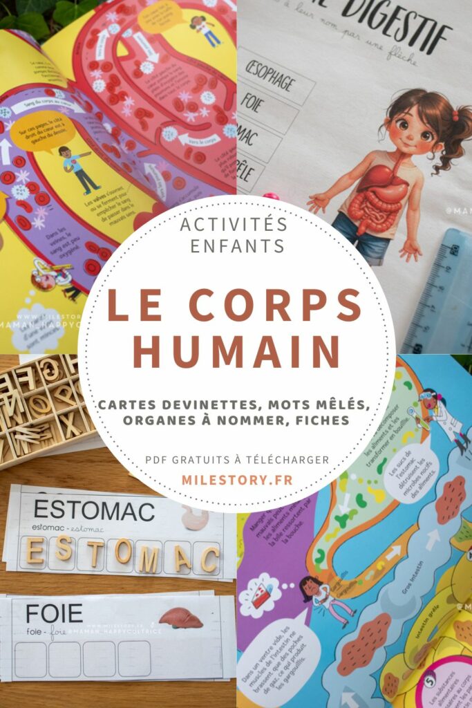 Corps humain : livre, activités à imprimer pour enfants – Devinettes ...