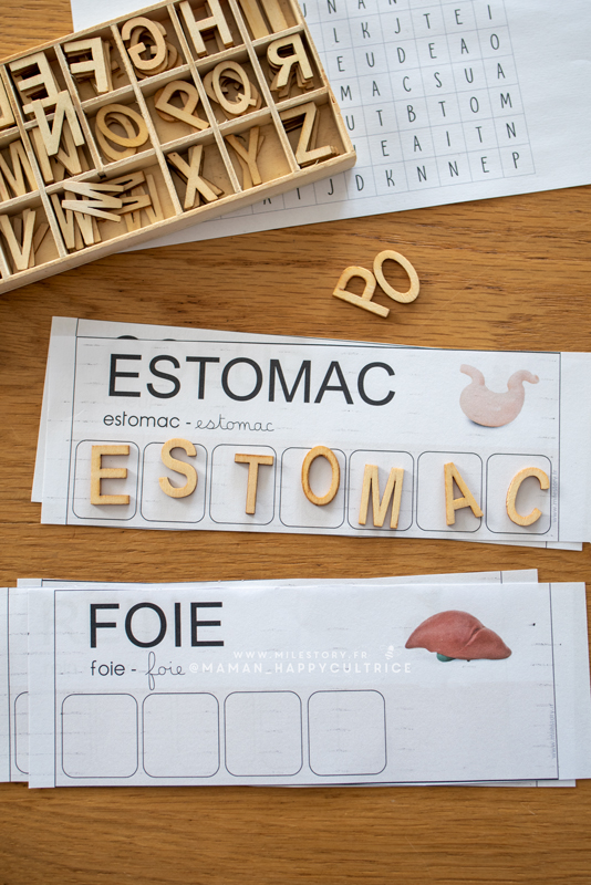 Corps humain : livre, activités à imprimer pour enfants – Devinettes ...