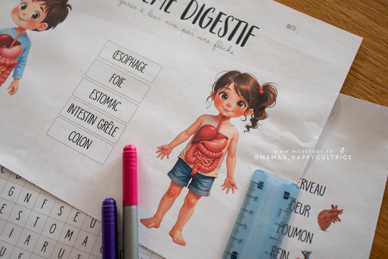 Corps humain : livre, activités à imprimer pour enfants – Devinettes ...