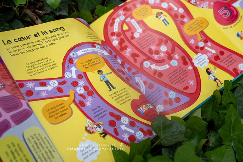 Corps humain : livre, activités à imprimer pour enfants – Devinettes ...