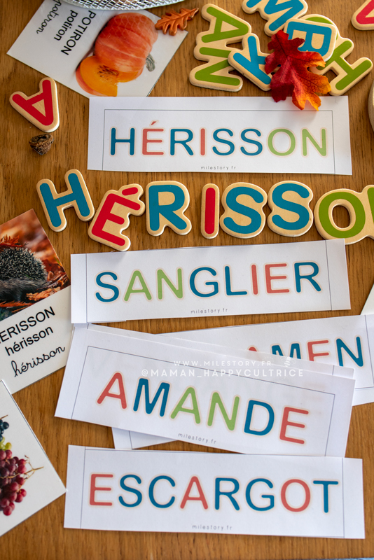 Jeu de lecture Automne à imprimer pour enfants : associer mots, images ...